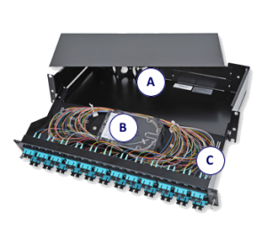 What is a FOBOT? - Network Direction