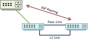 vPC and Routing Protocols - Network Direction